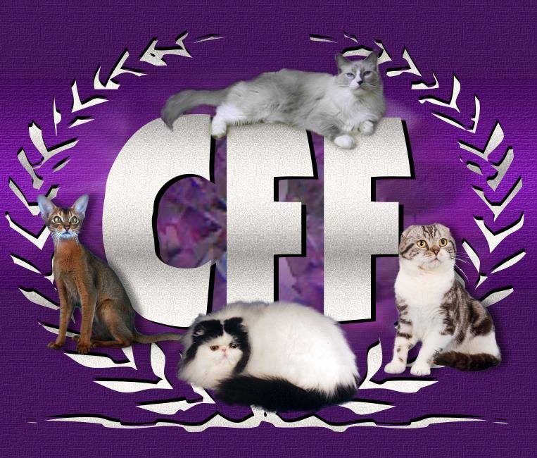 Cat Fanciers' Federation
