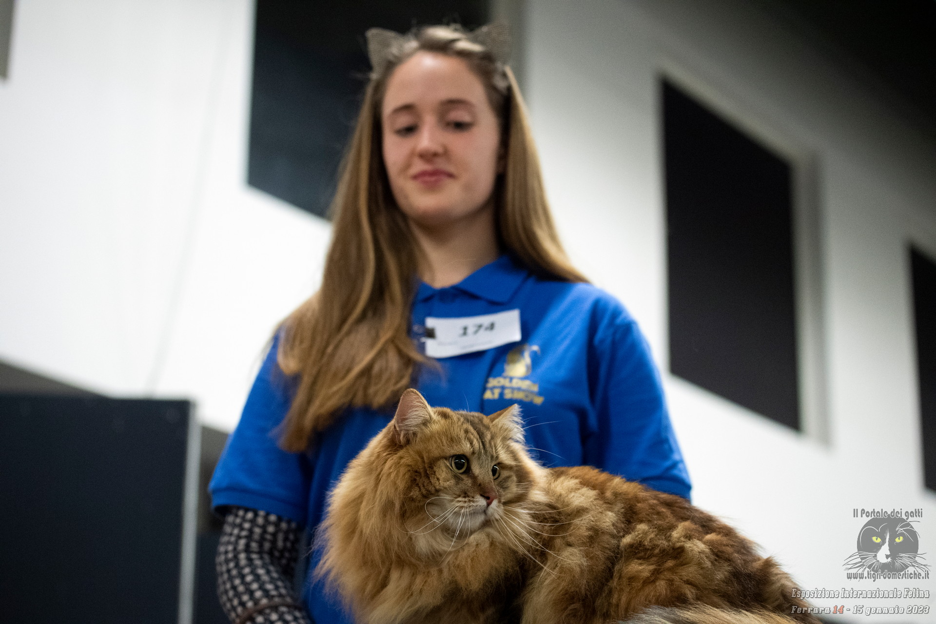 14 e 15 gennaio 2023 Mostra Internazionale Felina ANFI - FIFe Ferrara