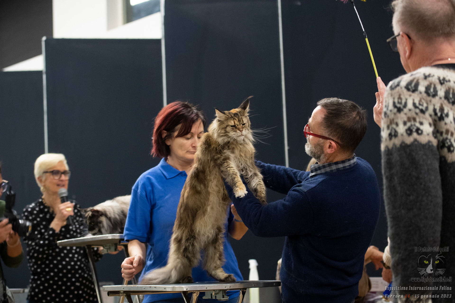 14 e 15 gennaio 2023 Mostra Internazionale Felina ANFI - FIFe Ferrara
