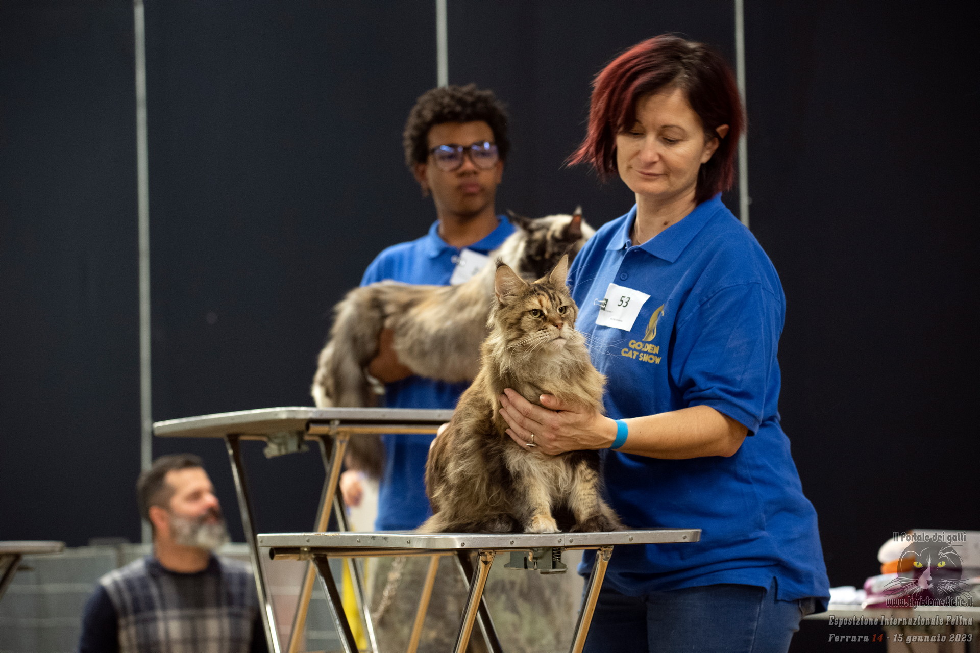 14 e 15 gennaio 2023 Mostra Internazionale Felina ANFI - FIFe Ferrara