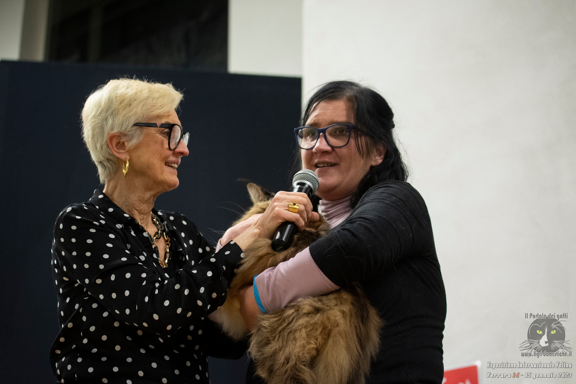 14 e 15 gennaio 2023 Mostra Internazionale Felina ANFI - FIFe Ferrara