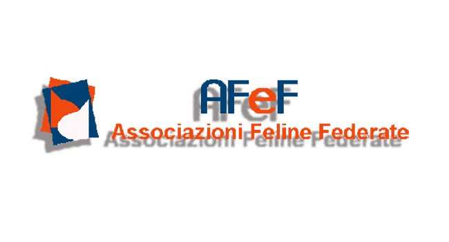 Calendario expo 2024 - AFeF - Italia